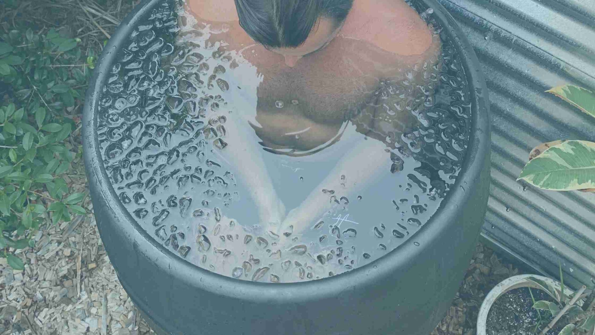 Nautilus Family Fitness Center